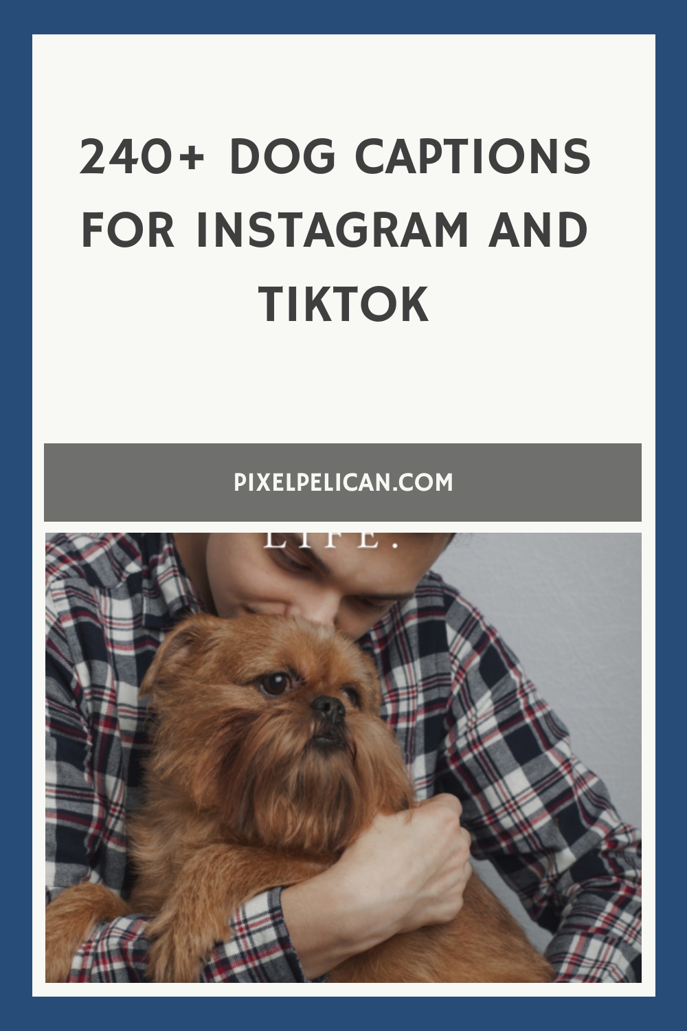 240+ Dog Captions for Instagram and Tiktok - Pixel Pelican