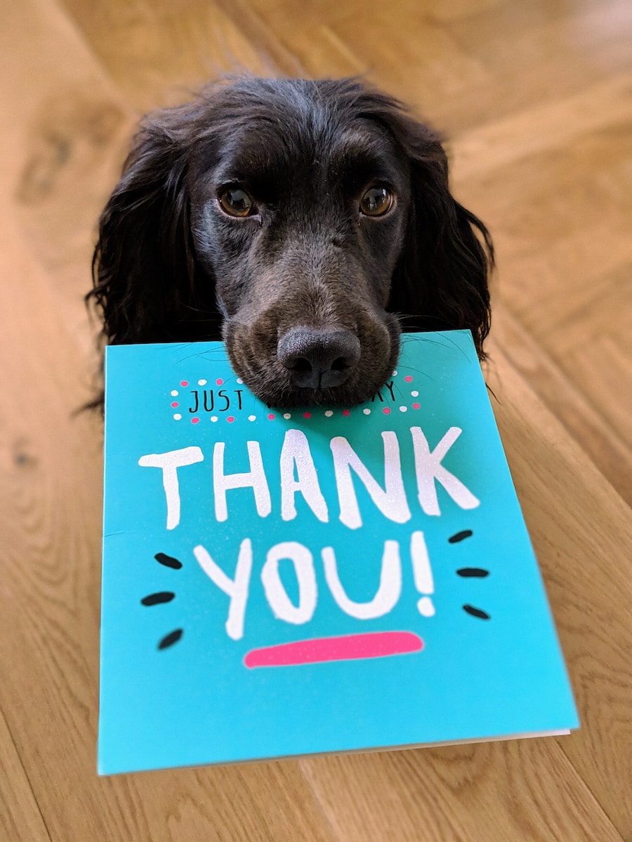 200 Ways To Say Thank You For Being Patient - Pixel Pelican