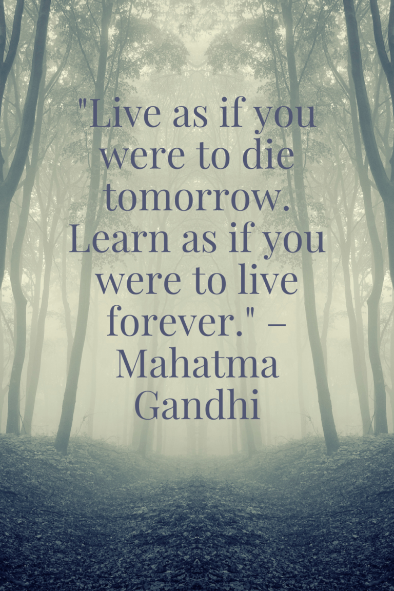 170+ Homework Quotes For Students Needing Motivation | Pixel Pelican